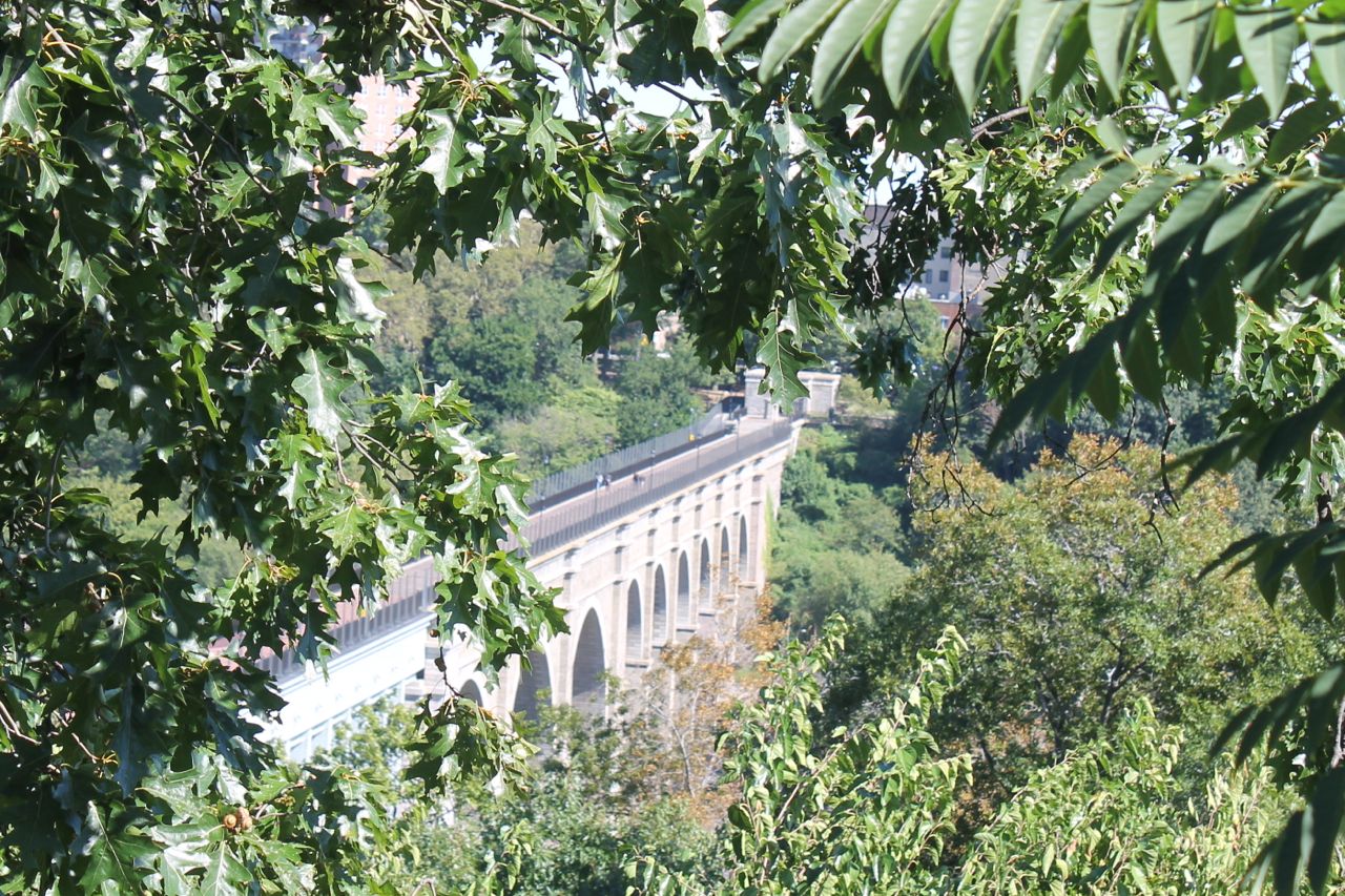 A Walk to the Marvelous High Bridge and its Tower