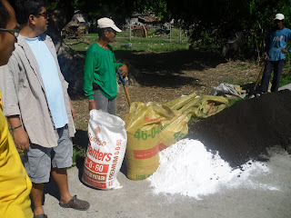 Tarlac Mill District Office: Sugarcane Block Farming