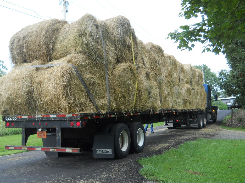 First Contact Logistics: When It Comes To Moving Hay!