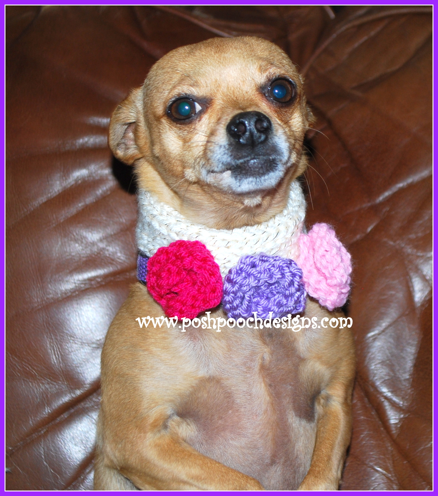 Posh Pooch Designs : Little Roses Dog Collar Knitting Pattern