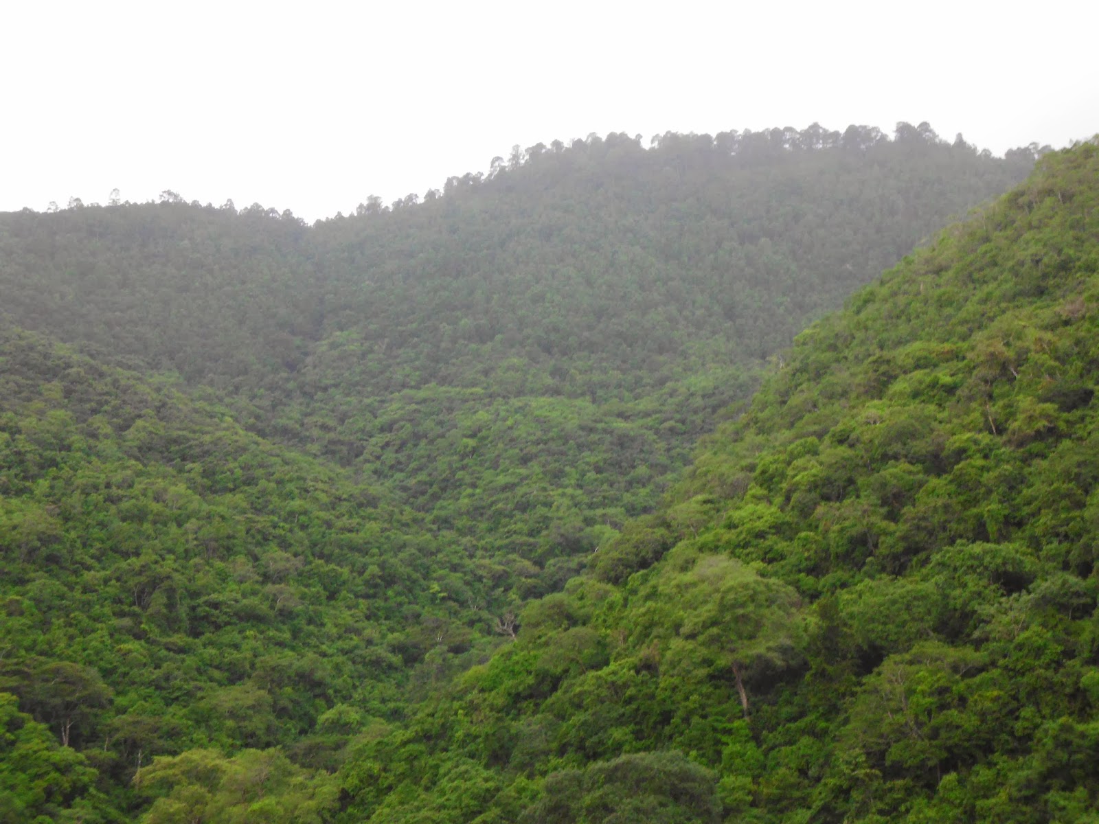 Sansare, El Progreso: Acercamiento a Sansare