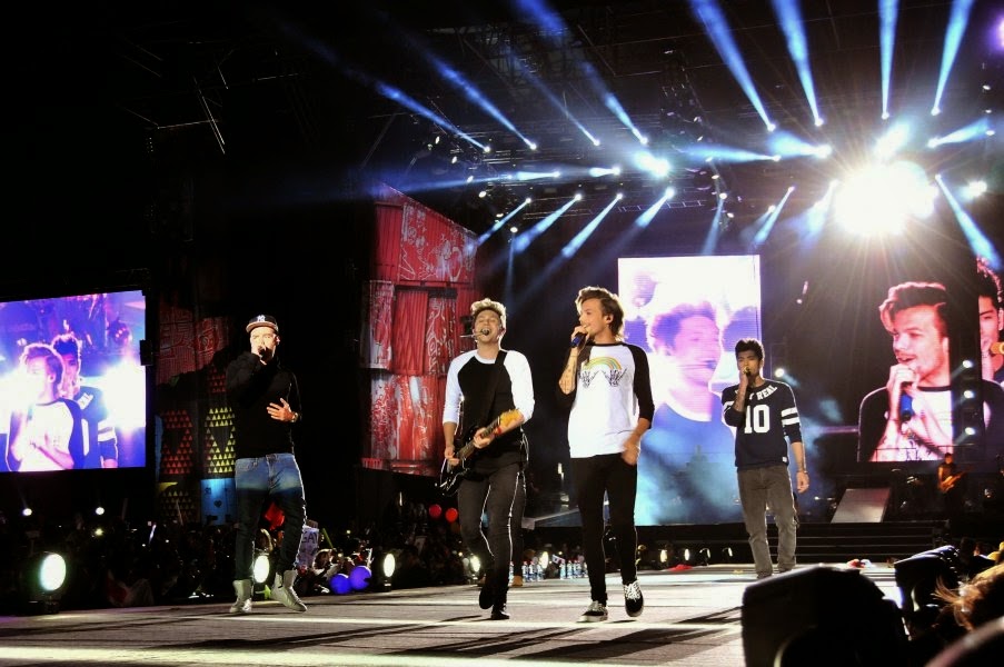 One Direction Girls ♥: Concierto en Santiago de Chile.-Where We Are ...