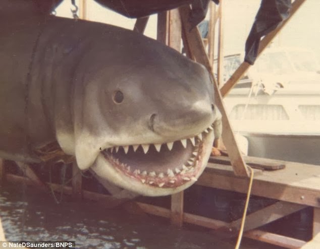Rare Jaws Photos To Be Auctioned For $30,000