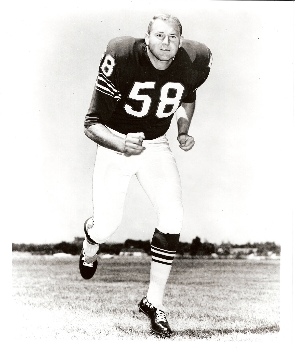 Pro Football Journal: Seventeen Straight: Buffalo's Outstanding Defense ...