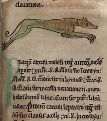 BOOKTRYST: Jewel of Welsh Manuscripts Goes Digital