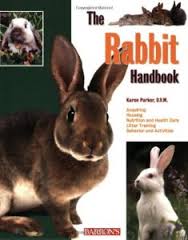Facts About Rabbit: Rabbit book: Quick reference about rabbits