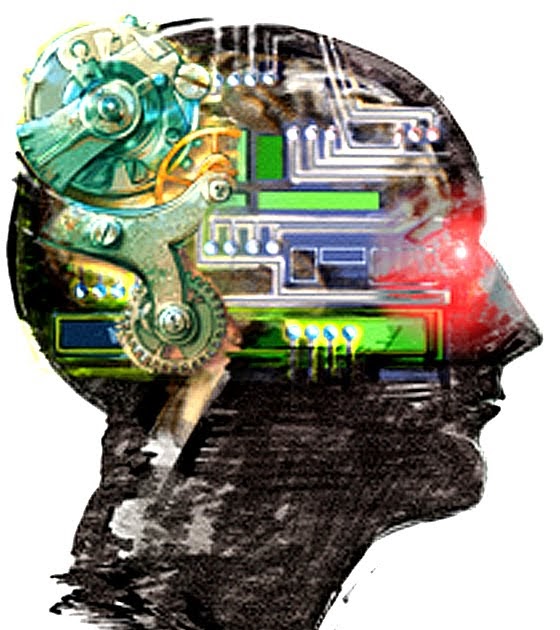 Activist Teacher: Collective intelligence does not imply individual ...