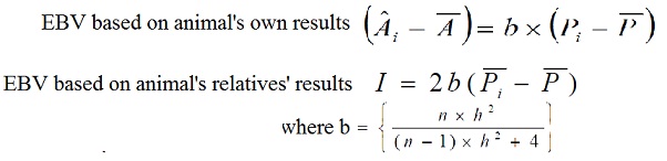 Animal science: Calculating estimated breeding values