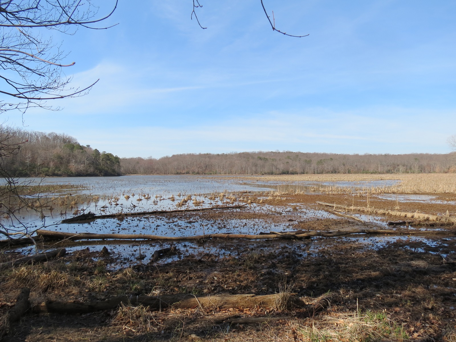 Viewing nature with Eileen: Easter & more