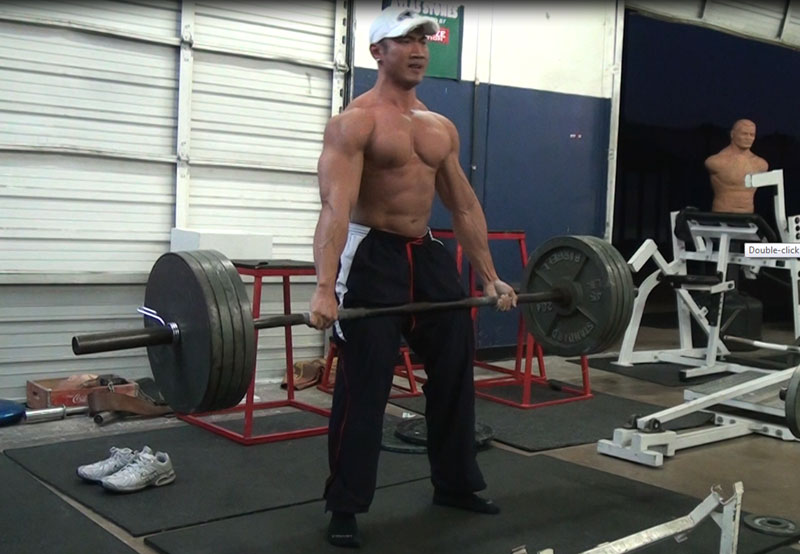 HanhChampion Blogspot: Basic Back Exercises