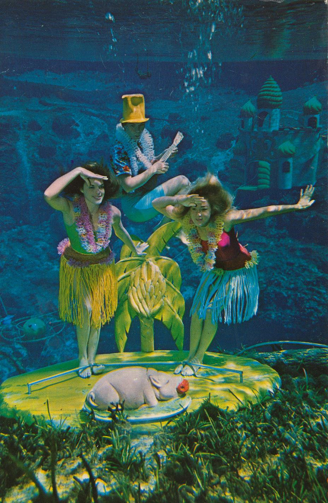 Florida's Weeki Wachee Spring – Wonderful Color Photos Capture Amazing ...