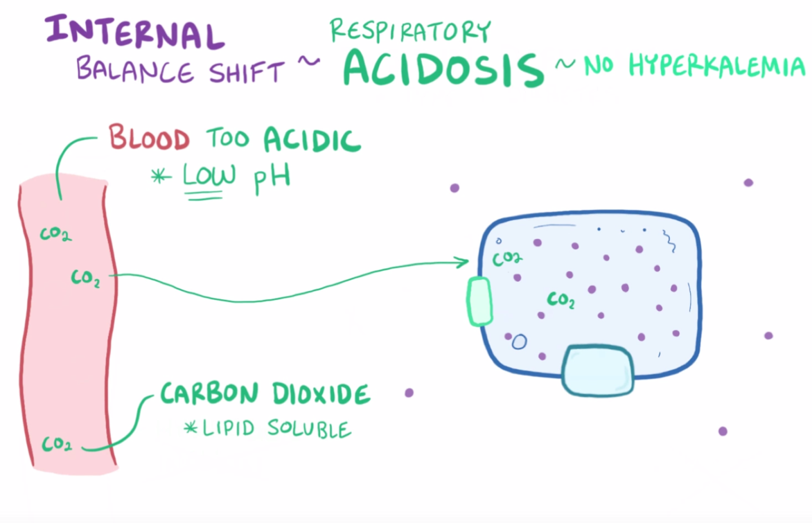 Tutor's Notes: general, cardiovascular, respiratory and renal ...