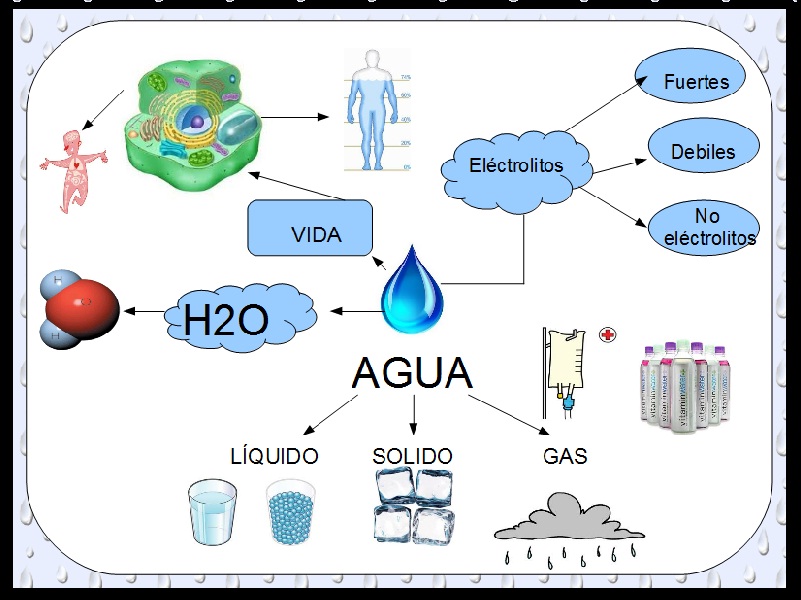 Estrategias de aprendizaje: Mapa mental del agua