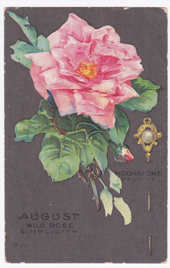 gold country girls: Celebrating August in Vintage Postcards