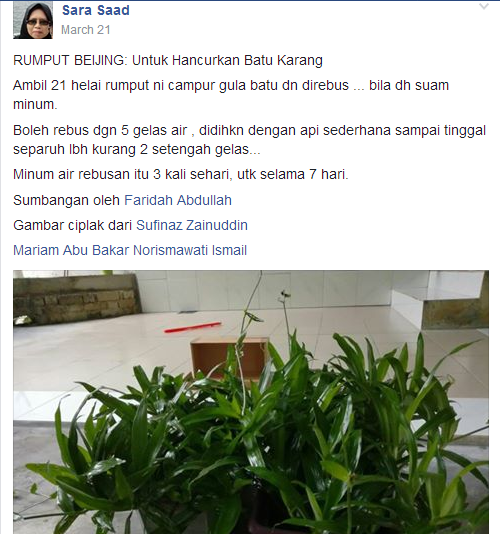 Mini Kebun Belakang Rumah: KESAN MENGGUNAKAN RUMPUT BEIJING