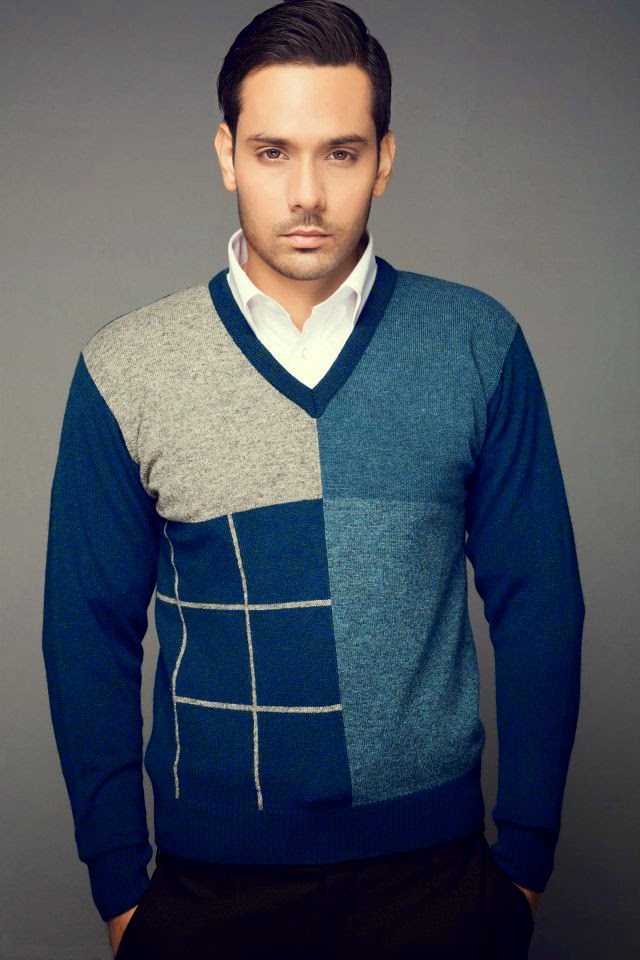 Bonanza Men's Sweaters 2015 | New Designs Of Sweaters For Men And Boys ...