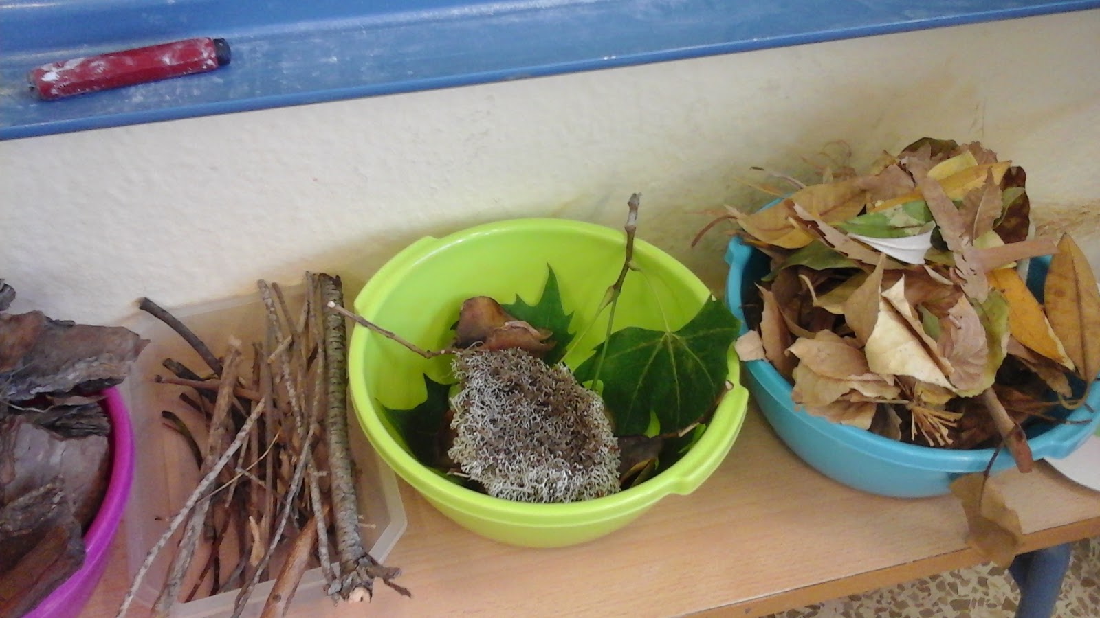 Paso a los protagonistas: PROYECTO OTOÑO