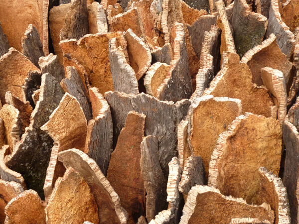magsramsay: David Nash Cork Structures