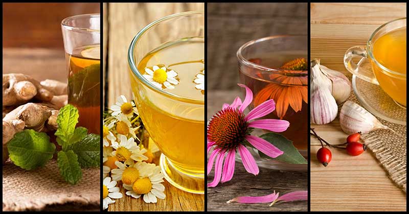 Effective Herbal Teas For Sinus Troubles