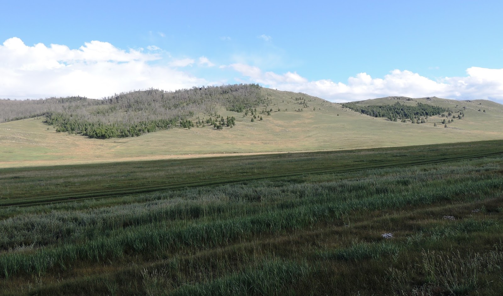 Nexus Expedition: From Yakland to Cameland