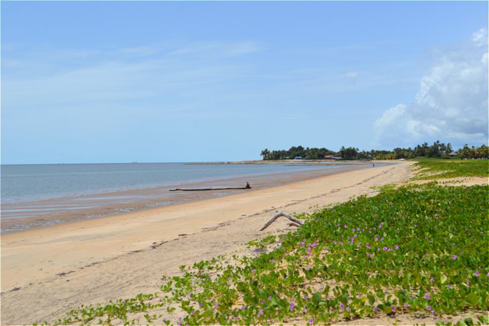 Guyane : Kourou, côté Plage - Les rêveries d'Isisya