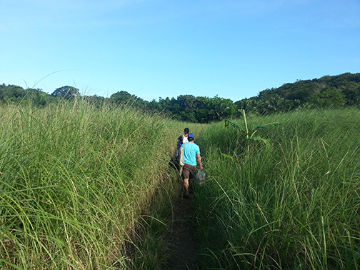 Palasan Island, Burdeos, Quezon | Her Name is Malaya