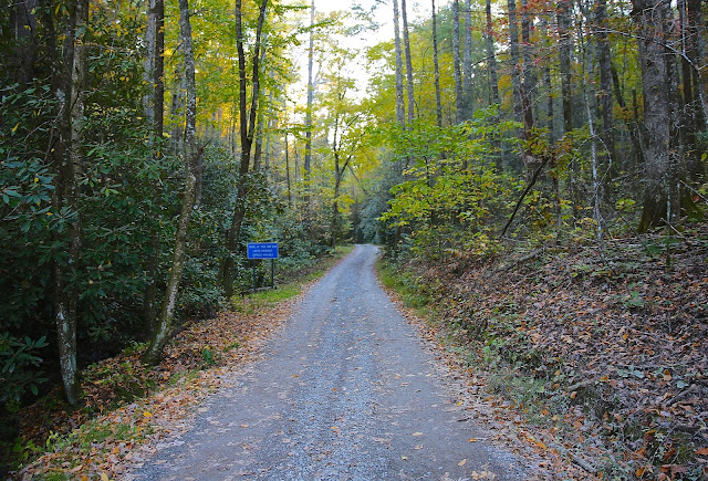 Sweet Southern Days: Parson Branch Road In The Great Smoky Mountains ...