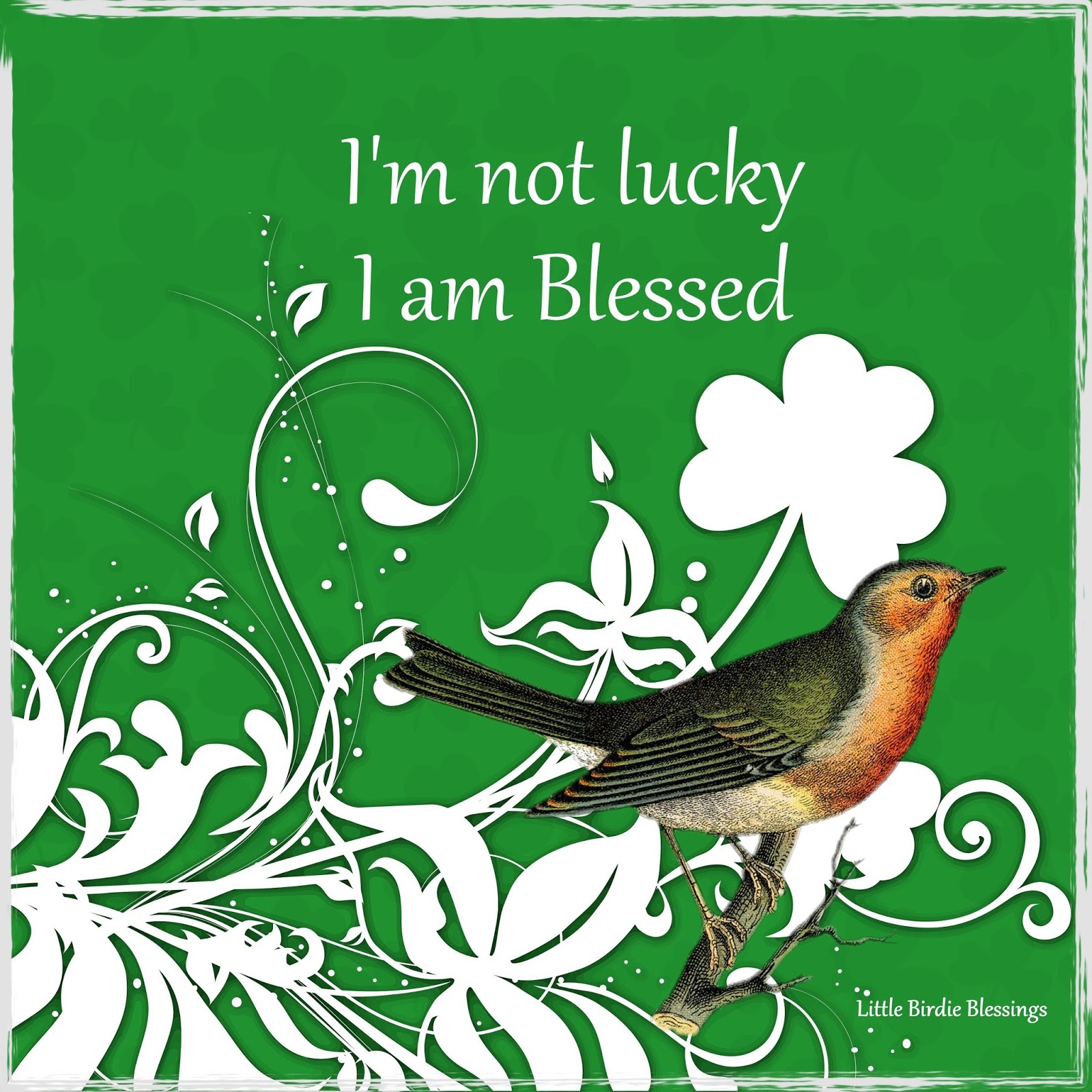 Little Birdie Blessings : No Luck Here