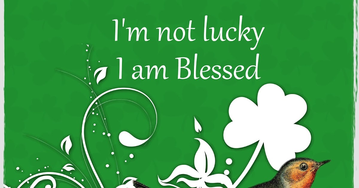 Little Birdie Blessings : No Luck Here