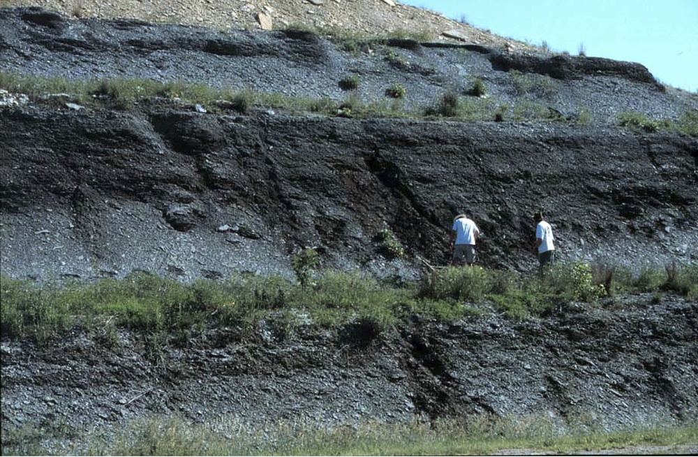 Learning Geology: Historical Anoxic Event and consequences