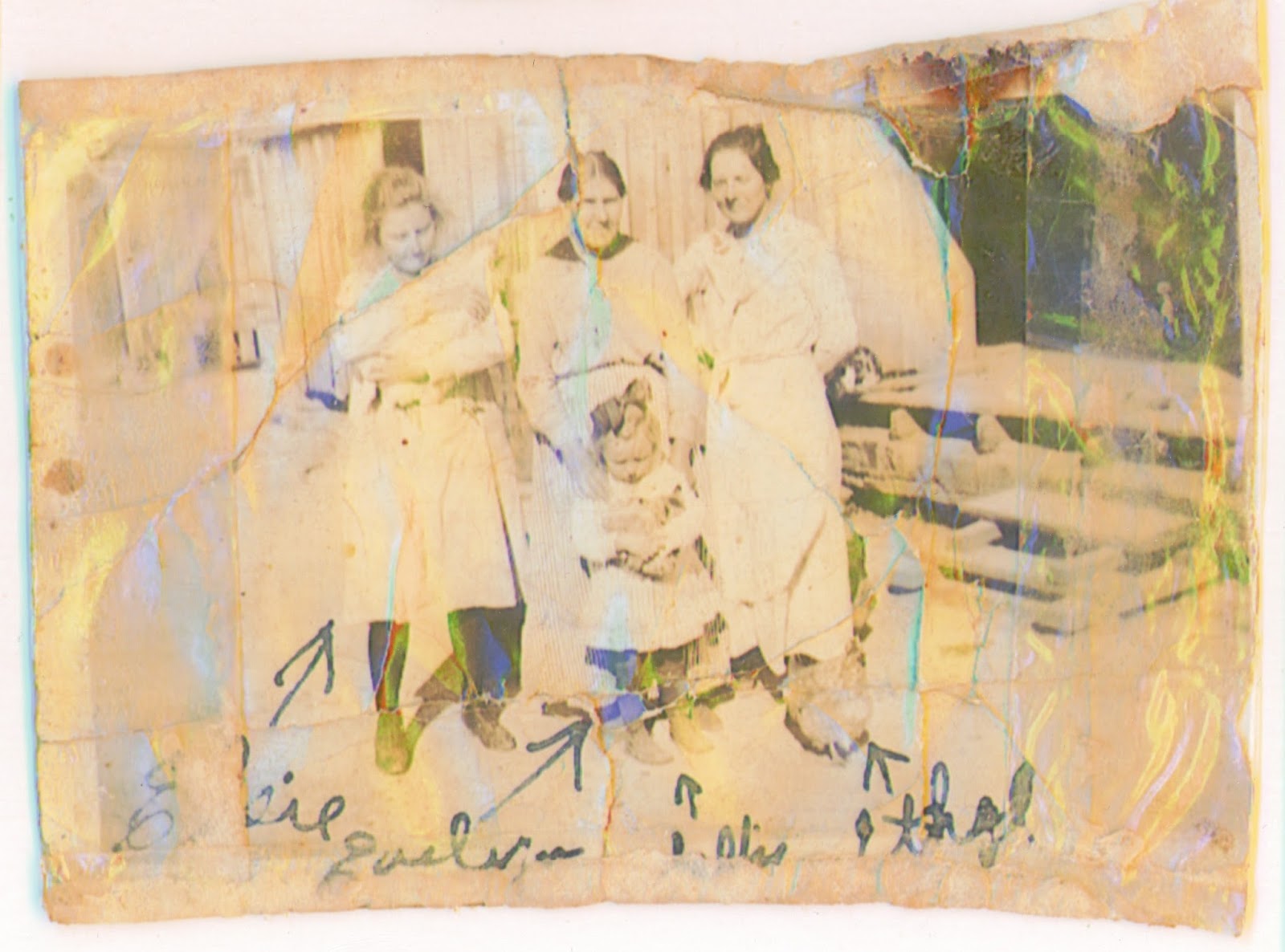 The Enthusiastic Genealogist: A Life of Almost 100 Years: Sallie ...