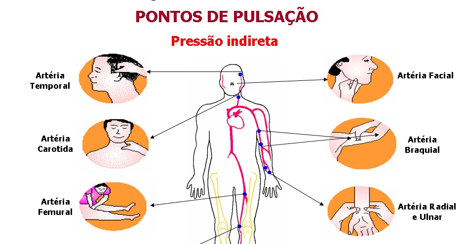 Bombeiroswaldo: Como localizar os pontos de pulsação no corpo humano