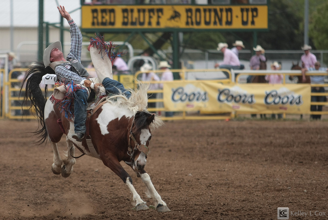 Kelley L Cox | Red Bluff Round-Up