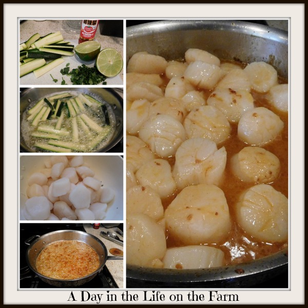 A Day in the Life on the Farm: Scallops with Garlic and Cilantro # ...