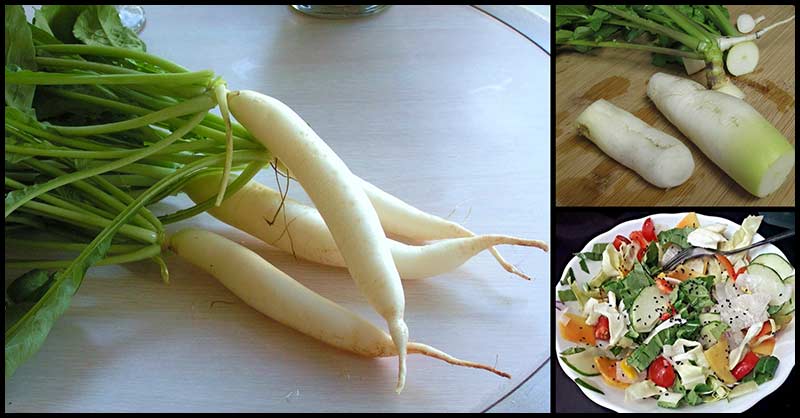 The Anti-Cancer Properties Of Radish | Dr Farrah MD