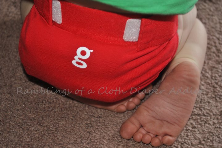 Ramblings of a Cloth Diaper Addict: gDiapers Review and *Giveaway*