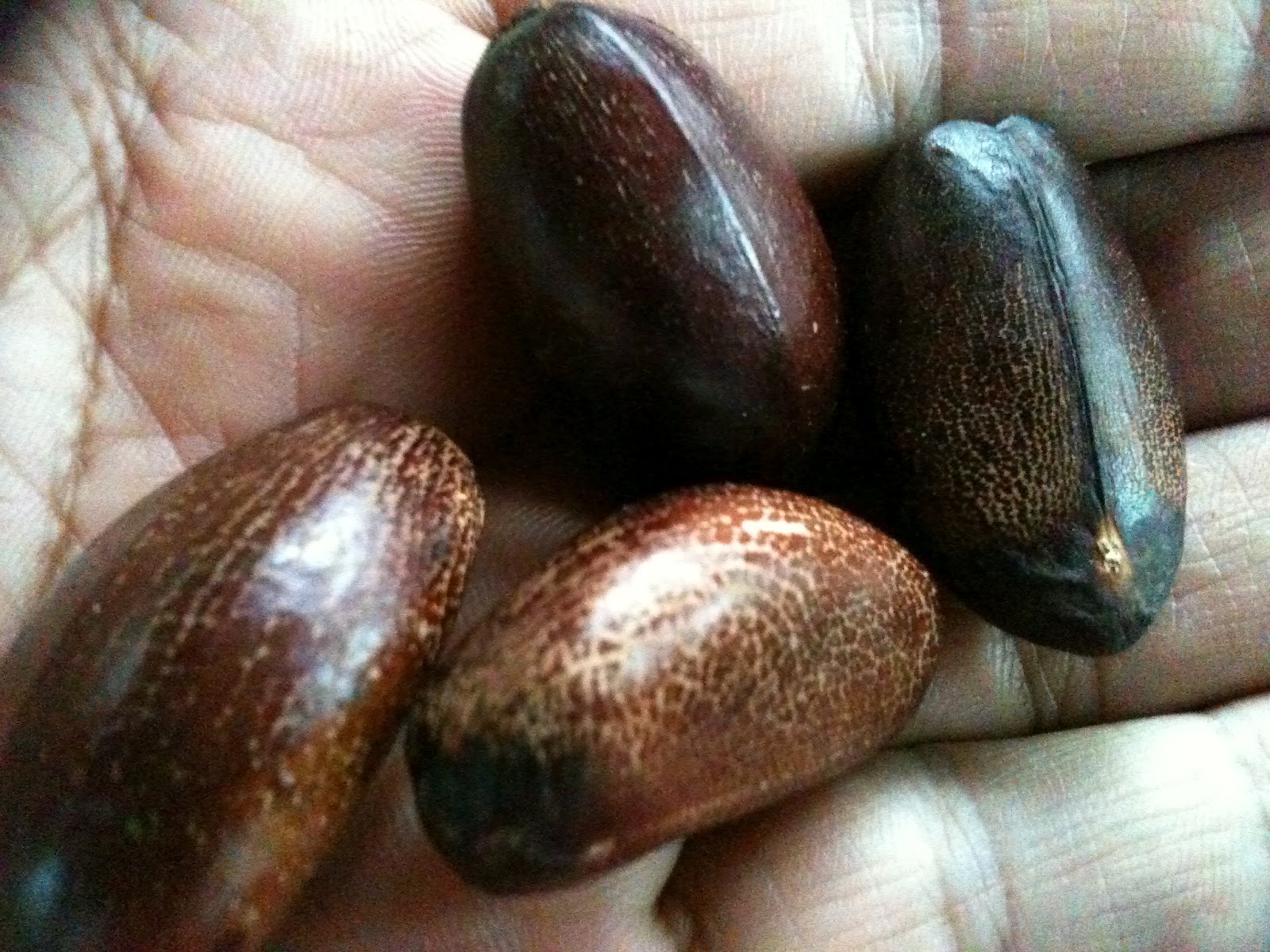 Blog seni tampak : Visual Art Education : Art Blogs : Fine Arts : Photo ...