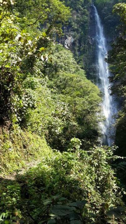 Tourism In El Salvador : Fundacion Refugio Salvaje (FURESA)