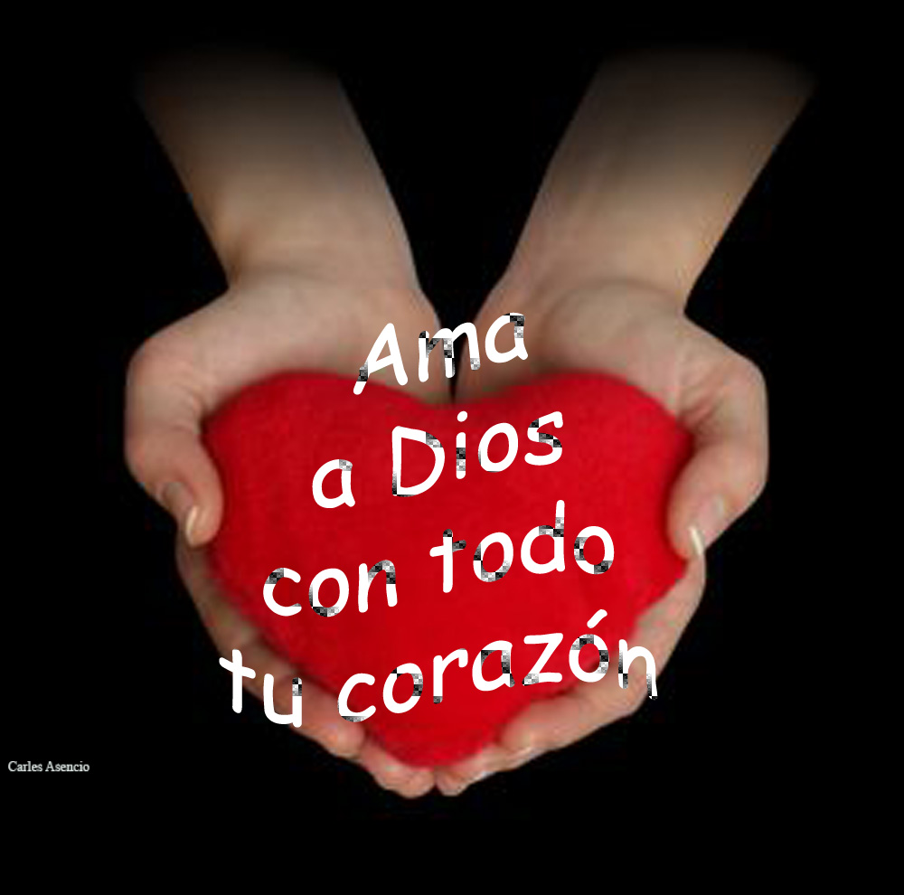 Amigo de Dios. Al servicio de Dios