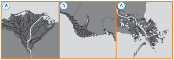 Pengertian Sedimentasi dan Jenis-Jenis Sedimentasi (Akuatis, Aeolis ...
