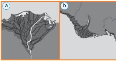 Pengertian Sedimentasi dan Jenis-Jenis Sedimentasi (Akuatis, Aeolis ...