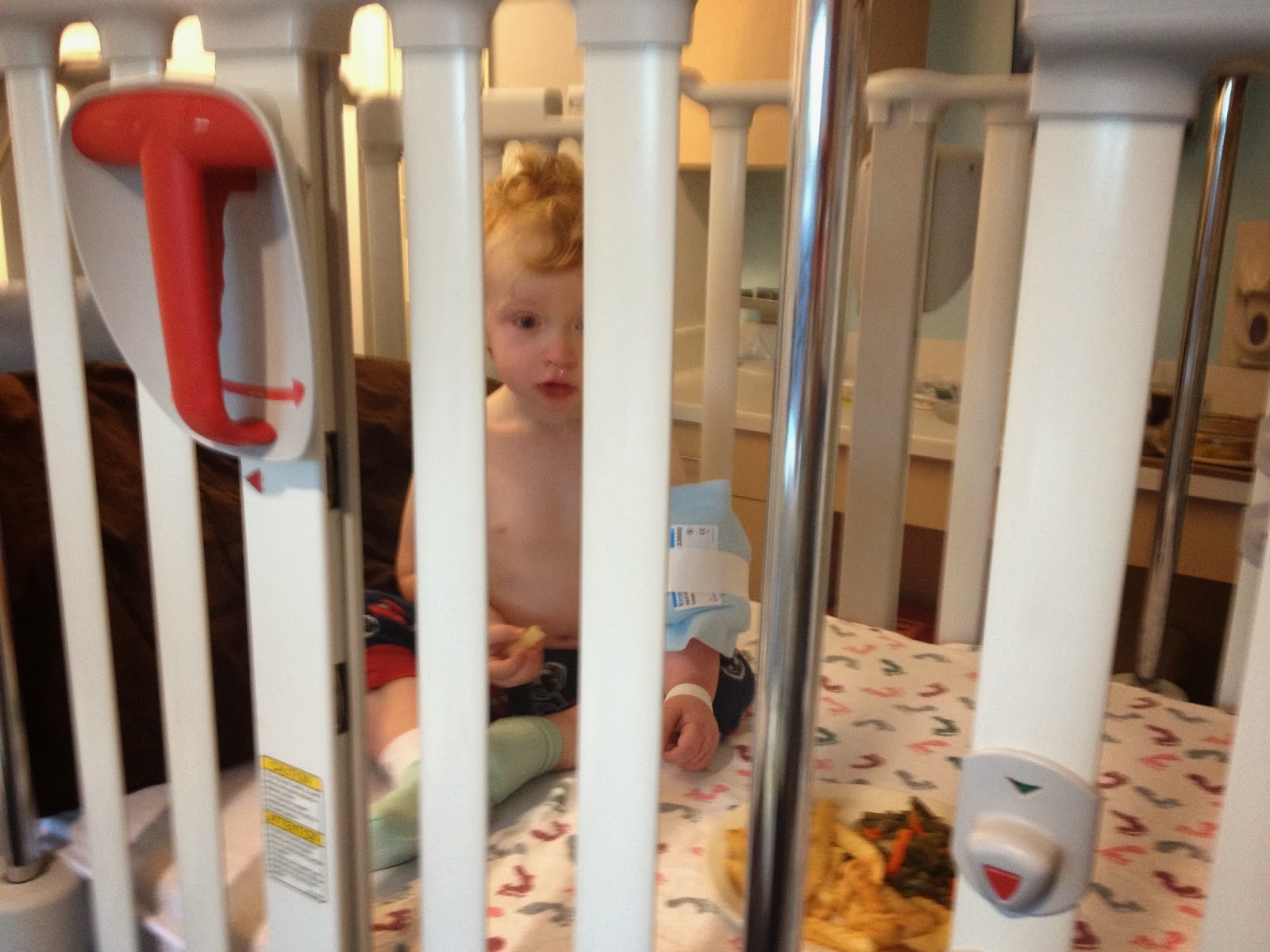 The Williams Family Blog