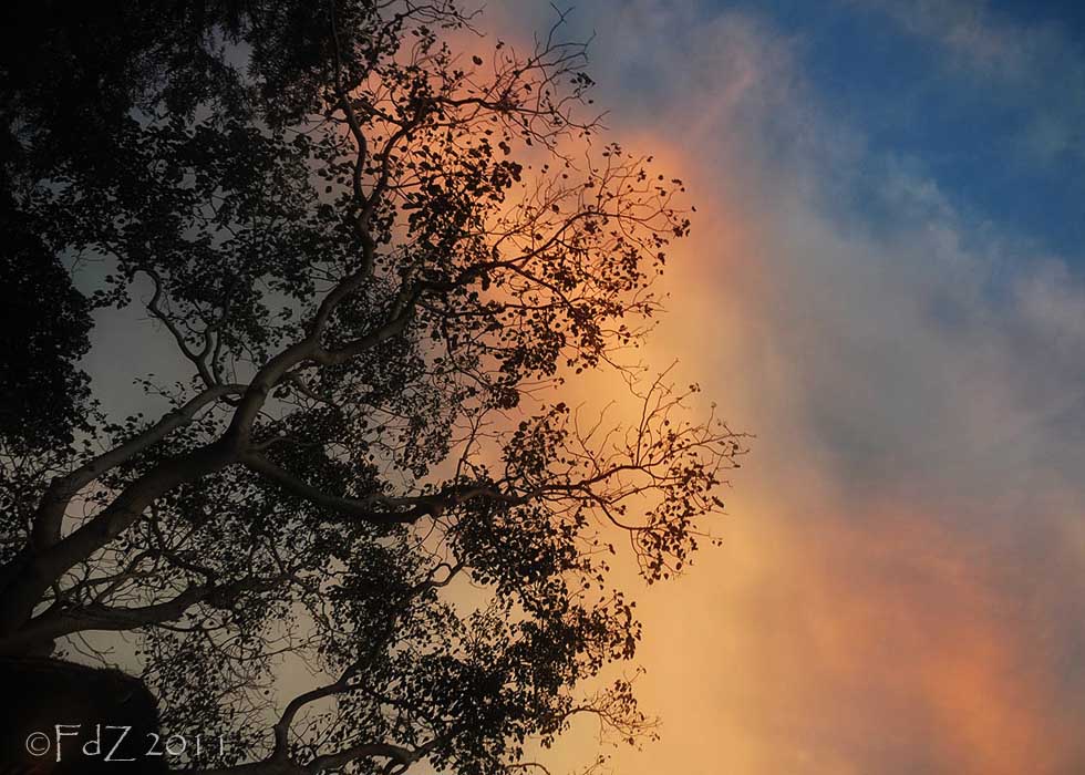 View thru My Global Lens: [SkyWatch] Sunset in Anilao