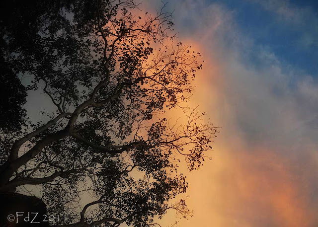 View thru My Global Lens: [SkyWatch] Sunset in Anilao