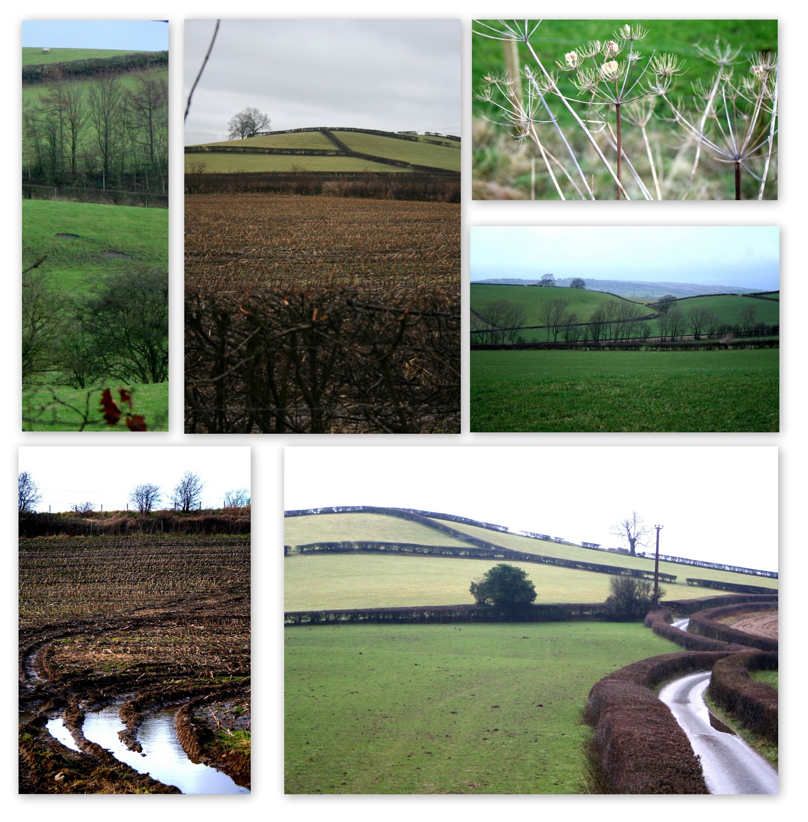 Josie Holuj PRINT : Land pattern in the Lakes