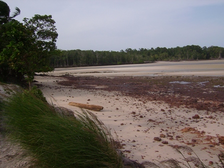 Salvaterra - PSF Vila de Jubim: NATUREZA JUBIENSE