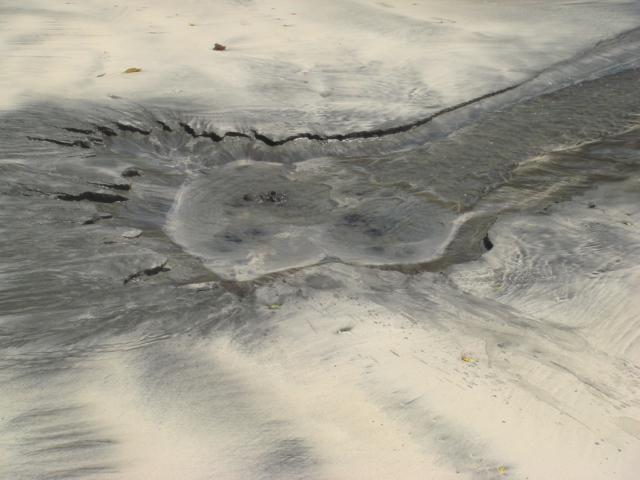 The Big Island Insider's Guide: Shipman (Ha'ena) Beach Hike