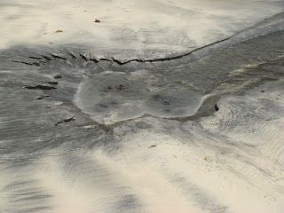 The Big Island Insider's Guide: Shipman (Ha'ena) Beach Hike