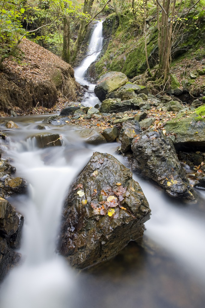 Neil Atkinson photographer: 2011