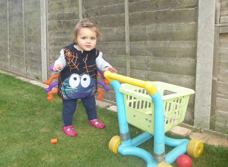 Jovial Spondoodles: Eden's 3rd Mini Beasts Party